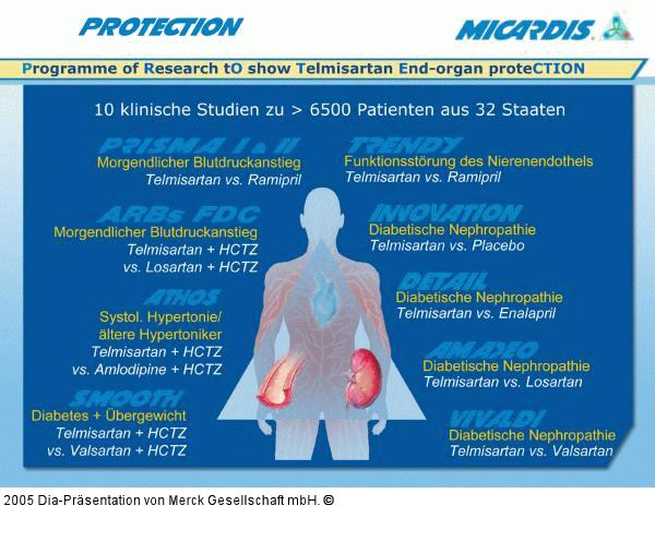 Abbildung 2: PROTECTION